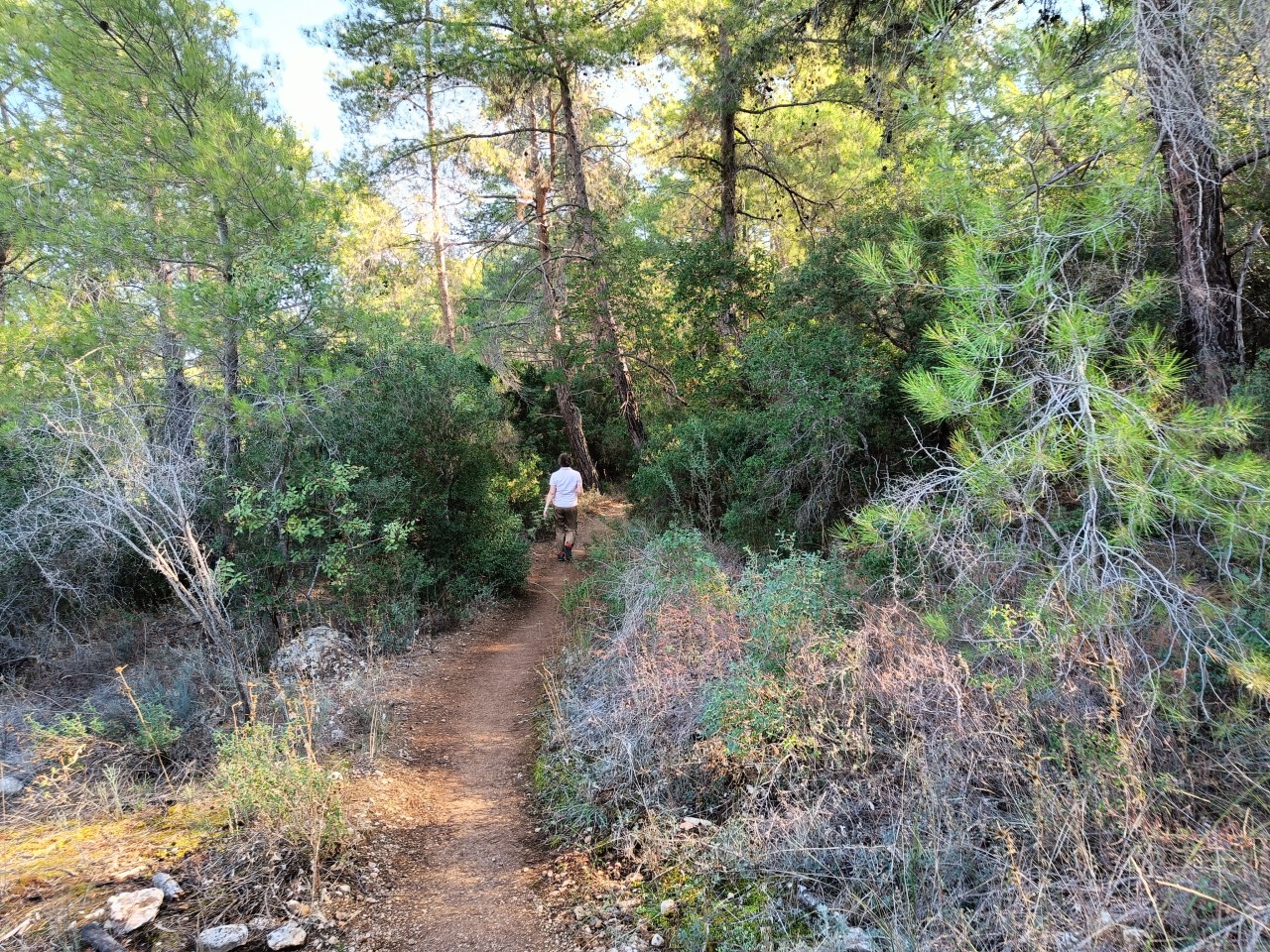 Гора Чалыш и Бухта Большого Камня (однодневная прогулка из Кемера, трек): helpix — LiveJournal